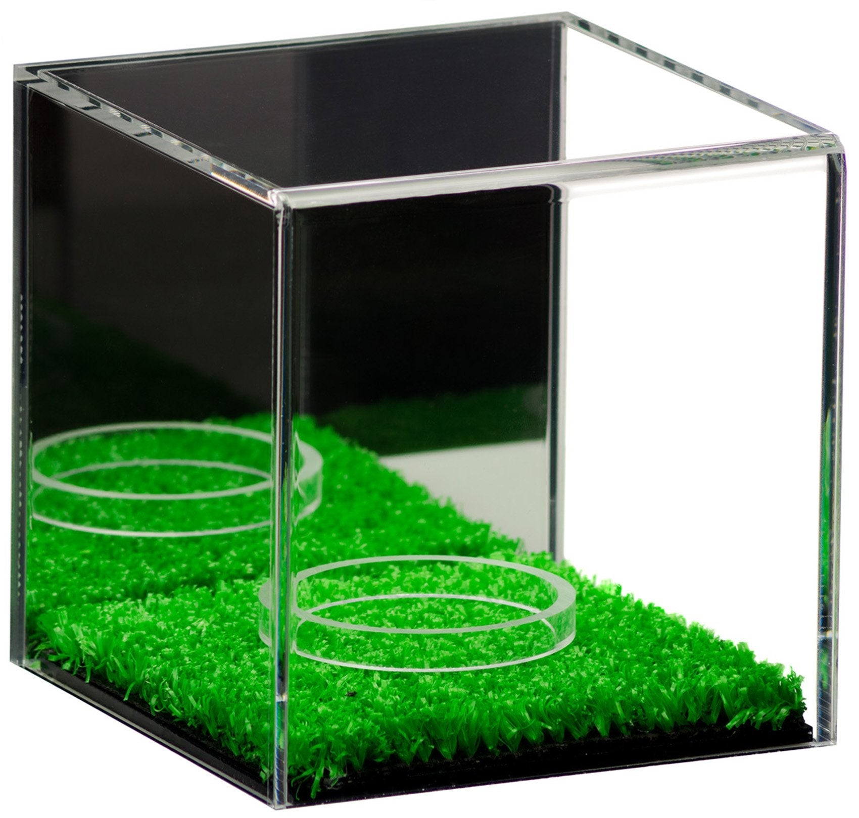 Acrylic Cricket or Bocce Ball Display Case (B23/A057) – Better Display ...